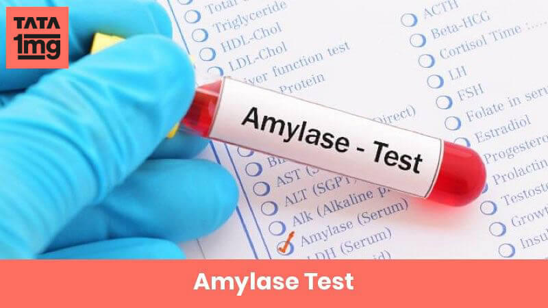 Amylase : Purpose & Normal Range of Results | 1mg