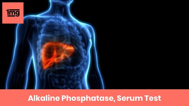 Alkaline Phosphatase, Serum : Purpose & Normal Range of Results | 1mg