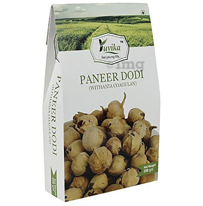 Yuvika Paneer Dodi - Paneer Ke Phool - Withania Coagulan: Buy packet of ...