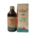Gasgo Syrup (225ml Each) Mint Sugar Free: Buy box of 1.0 Bottle at best ...