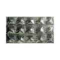 Basiton Forte New Tablet Gluten Free: Buy strip of 15.0 tablets at 𝗯𝗲𝘀𝘁 ...