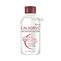 Caladryl Skin Soothing Solution | Skin Allergy Expert Lotion: Buy ...