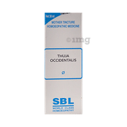 SBL Thuja Occidentalis Mother Tincture Q: Buy bottle of 30.0 ml Mother ...