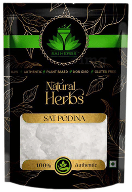 Sai Herbs Sat Pudina: Buy packet of 100.0 gm Pack at best price in ...