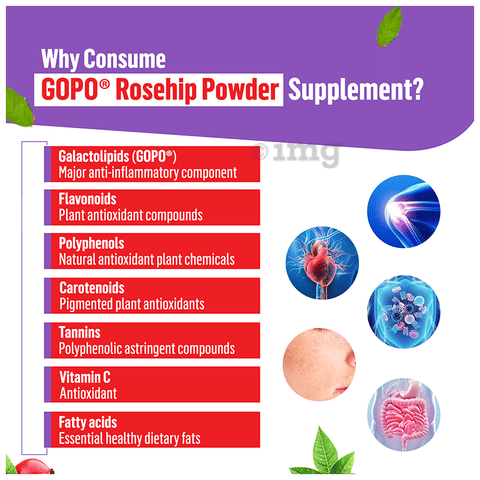 GoPo Rosehip Powder | Joint & Skin Health, Immunity, Collagen Formation ...