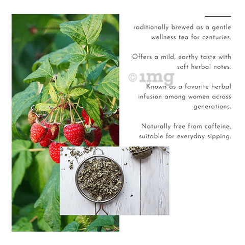 fresh raspberry leaf tea