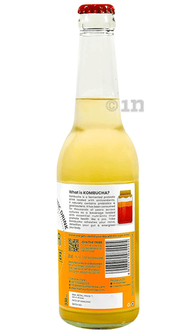 Tribe Kombucha Combo Pack of Naturally Sparkling Probiotic Drink ...