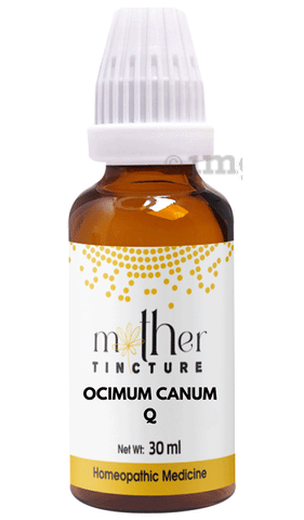 ocimum canum