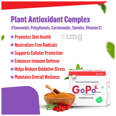 GoPo Rosehip Powder | Joint & Skin Health, Immunity, Collagen Formation ...