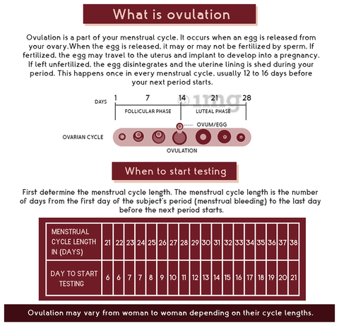 period cycle length normal
