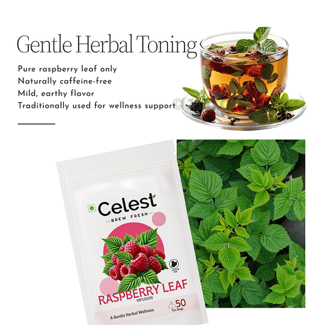 fresh raspberry leaf tea