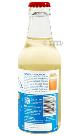 Tribe Kombucha Combo Pack of Naturally Sparkling Probiotic Drink ...
