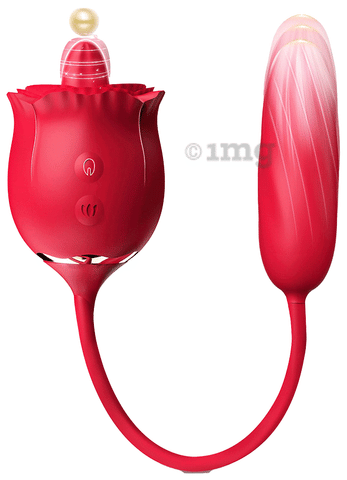 Herbal Nawab Vibella Red Rose Dual Motor Massager: Buy box of 1.0 ...