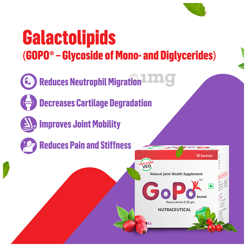 GoPo Rosehip Powder | Joint & Skin Health, Immunity, Collagen Formation ...