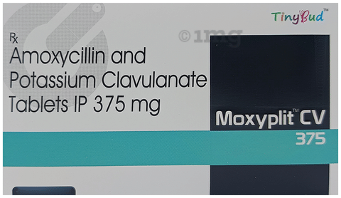 Buy Moxyplit CV 375 Tablet Online: View Uses, Side Effects, Price ...