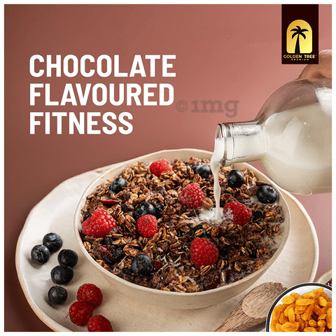 Golden Tree Premium High Protein Oats Chocolate: Buy packet of 1.0 kg ...