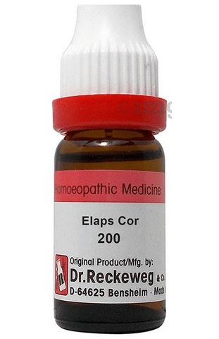 elaps corallinus 200