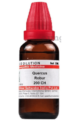 quercus robur uses