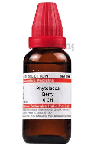 phytolacca 6 use