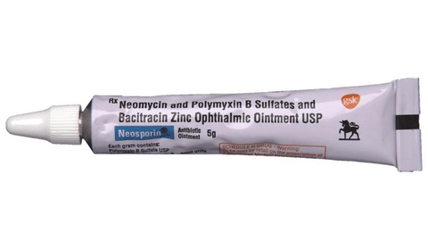 neosporin antibiotic ointment uses in hindi 10g