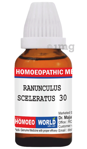 ranunculus sceleratus 30
