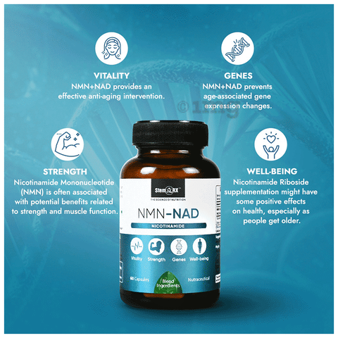nad supplement