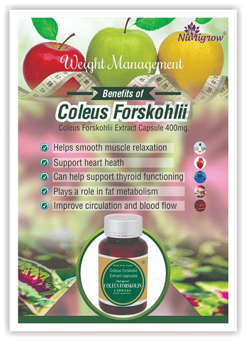 forskolin uses