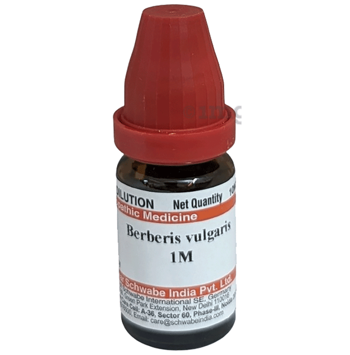 Dr Willmar Schwabe India Berberis Vulgaris Dilution 1M: Buy bottle of ...
