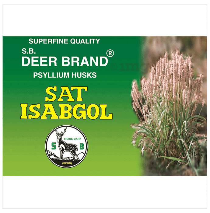 Deer Brand Sat Isabgol Psyllium Husk Powder (250gm Each): Buy combo ...