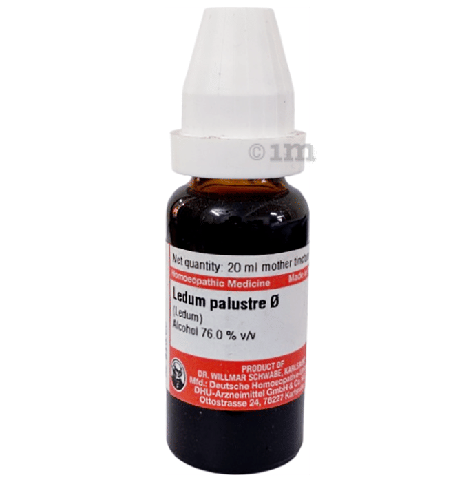 Dr Willmar Schwabe Germany Ledum Palustre Mother Tincture Q: Buy bottle ...