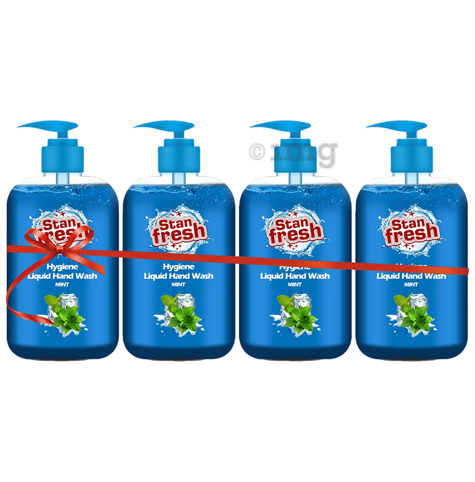 Stanfresh Hygiene Liquid Hand Wash Mint: Buy combo pack of 4.0 bottles ...