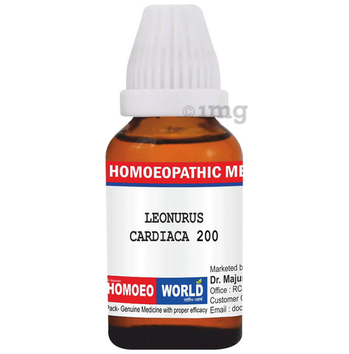 Dr. Majumder Homeo World Leonurus Cardiaca Dilution 200: Buy bottle of ...