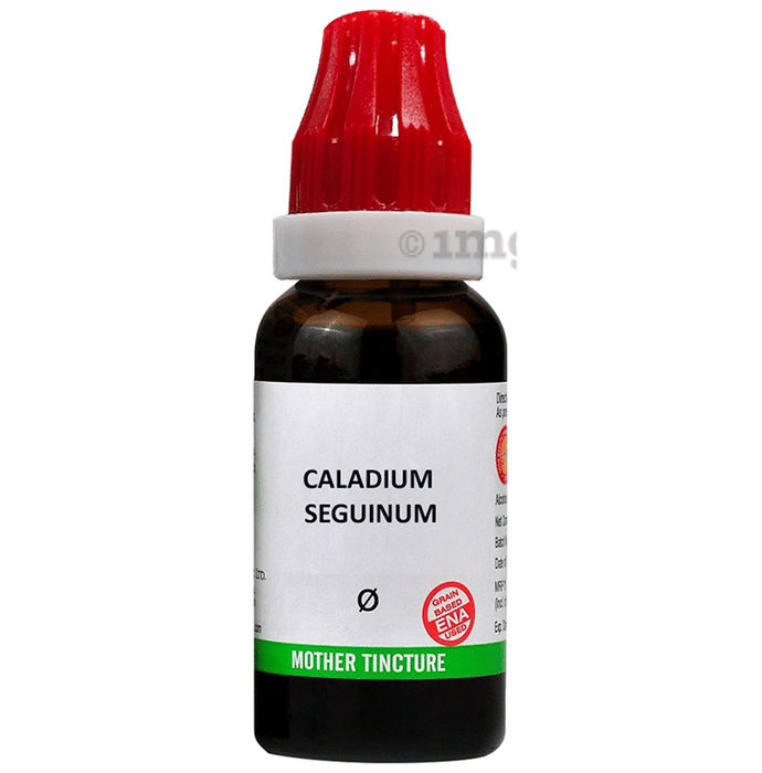 Bjain Caladium Seguinum Mother Tincture Q: Buy bottle of 30.0 ml Mother ...