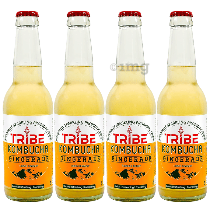 Tribe Kombucha Naturally Sparkling Probiotic Drink Gingerade (330ml ...