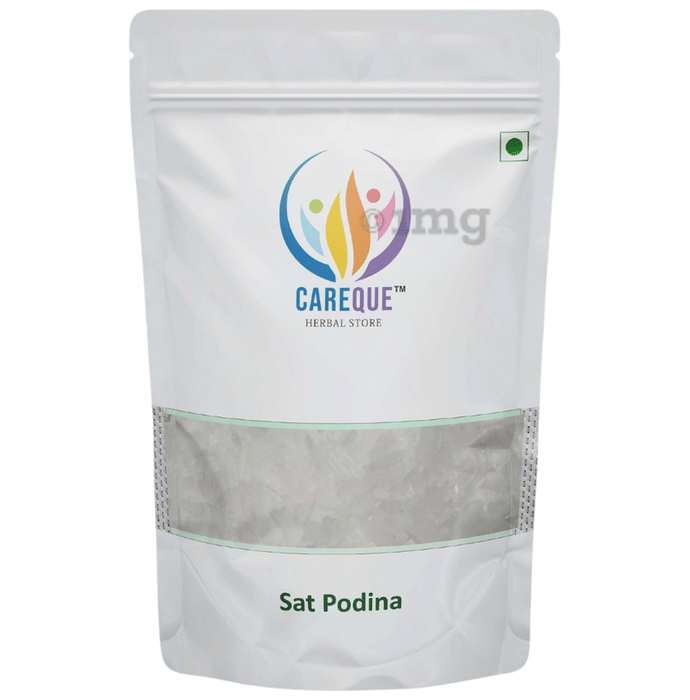 Careque Sat Podina: Buy packet of 500.0 gm Pack at best price in India ...