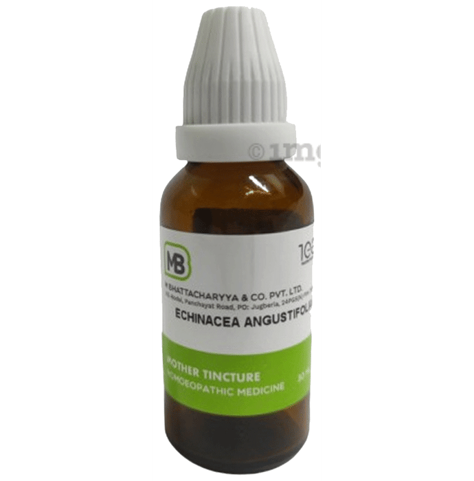 MB Echinacea Angustifolia Mother Tincture Q: Buy bottle of 30.0 ml ...