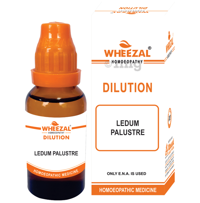 Wheezal Ledum Palustre Dilution 1M: Buy bottle of 30.0 ml Dilution at ...