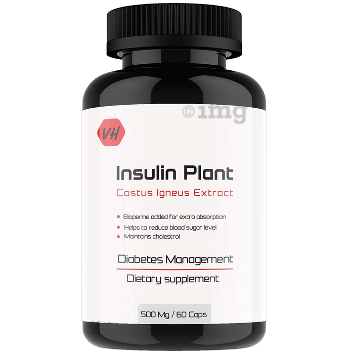 Vitaminhaat Insulin Plant 500mg Capsule: Buy bottle of 60.0 capsules at ...