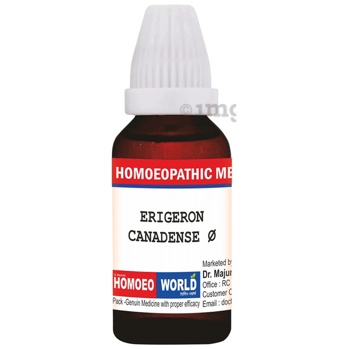 Dr. Majumder Homeo World Erigeron Canadensis Mother Tincture (30ml Each ...