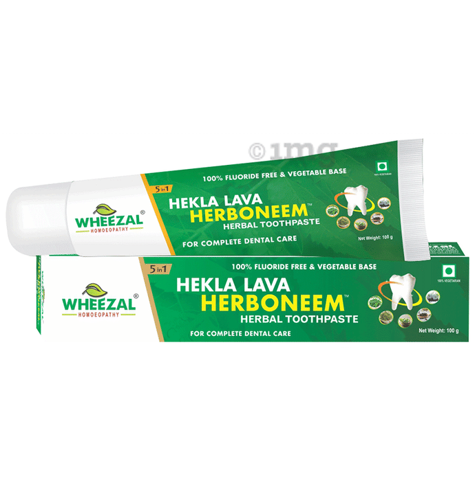 Wheezal Hekla Lava Herboneem Herbal Toothpaste: Buy tube of 100.0 gm ...