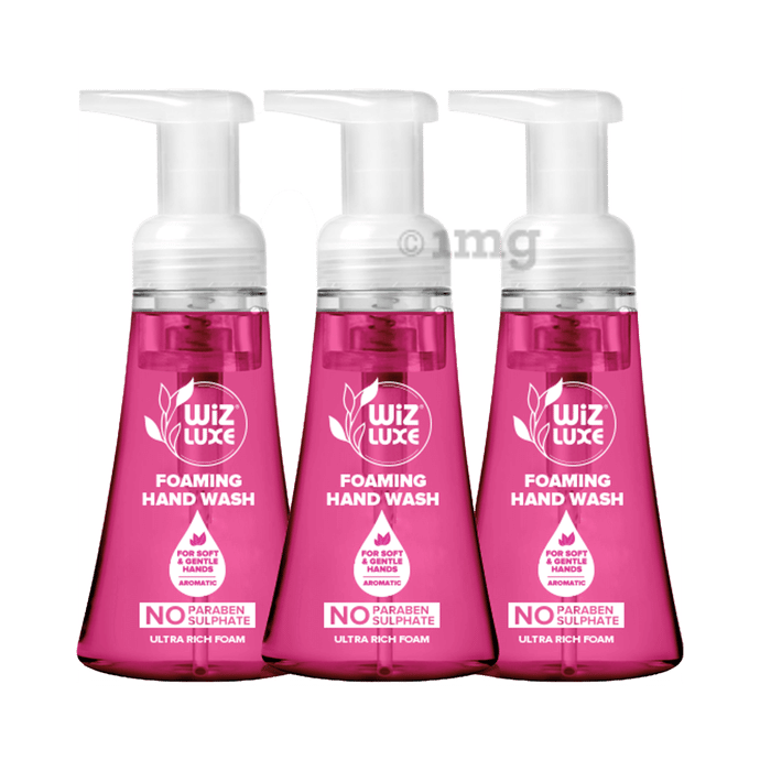 Wiz Luxe Foaming Hand Wash (300ml Each) Swiss Fantasia: Buy combo pack ...