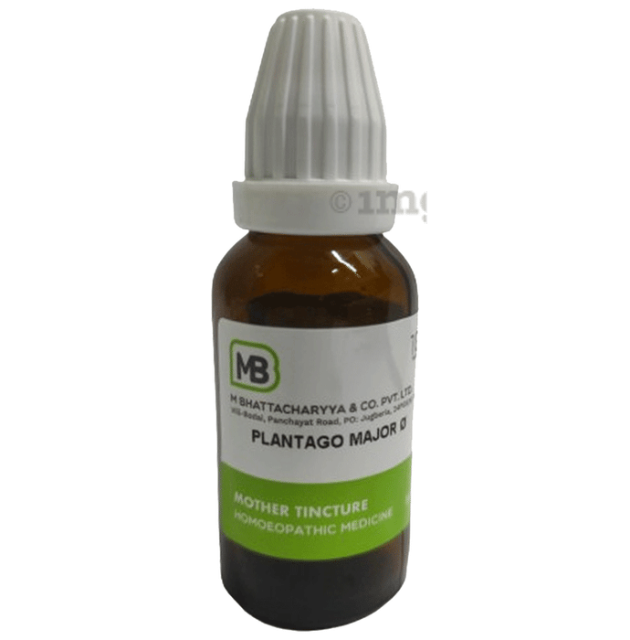 MB Plantago Major Mother Tincture Q: Buy bottle of 30.0 ml Mother ...