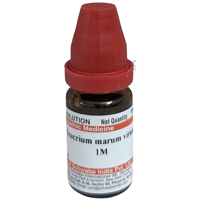 Dr Willmar Schwabe India Teucrium Marum Virum Dilution 1M: Buy bottle ...