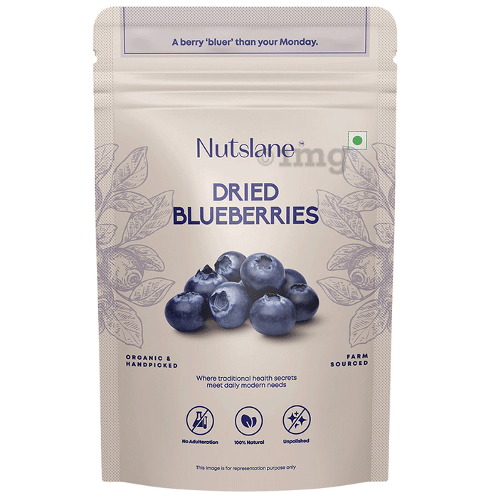 Nutslane Dried Blueberries: Buy packet of 100.0 gm Pack at best price ...