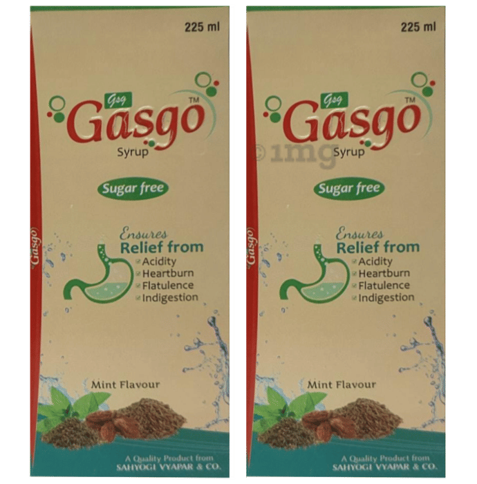 Gasgo Syrup (225ml Each) Mint Sugar Free: Buy combo pack of 2.0 bottles ...