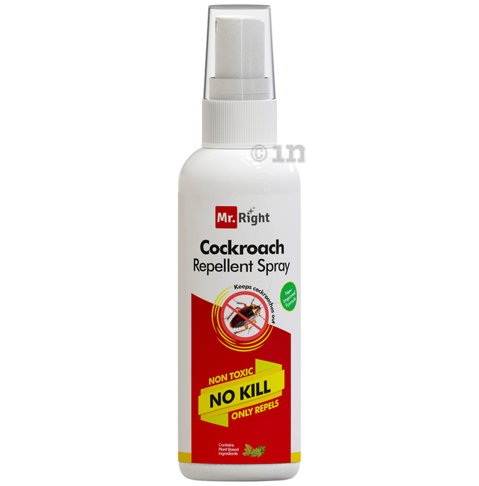 Mr. Right Cockroach Repellent Spray: Buy packet of 100.0 gm Liquid at ...