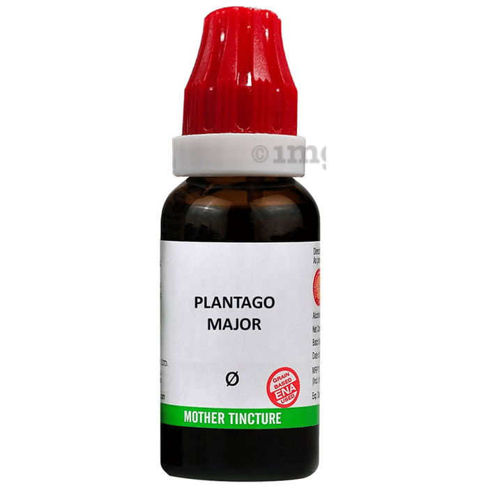Bjain Plantago Major Mother Tincture Q: Buy bottle of 30.0 ml Mother ...