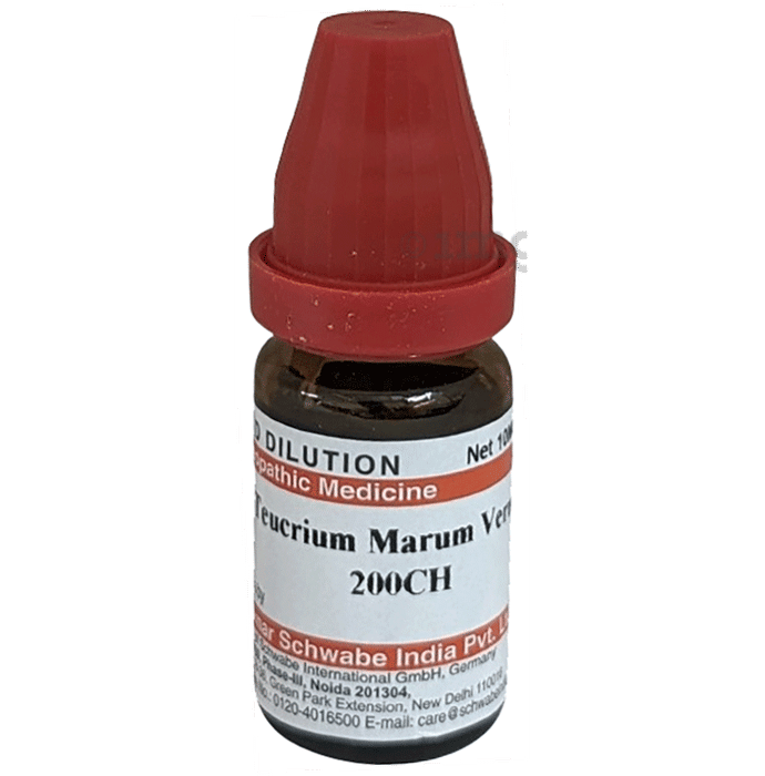 Dr Willmar Schwabe India Teucrium Marum Virum Dilution 200 CH: Buy ...