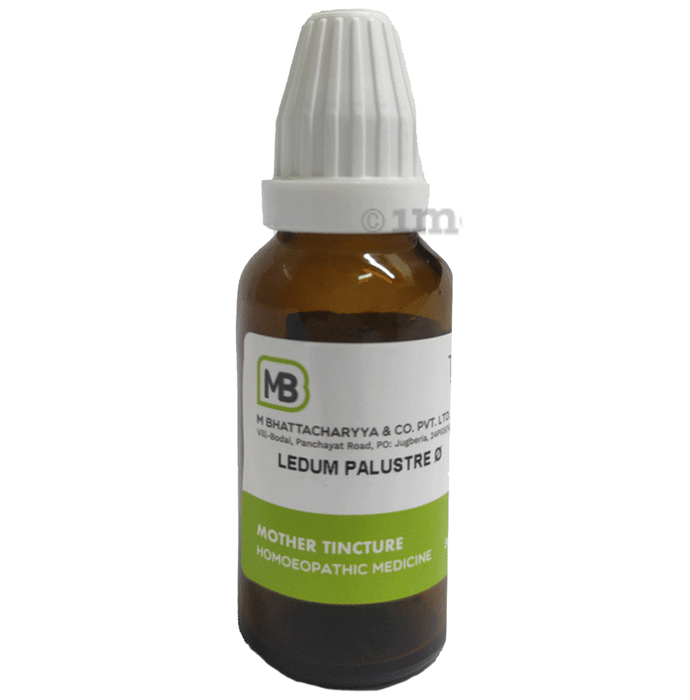 MB Ledum Palustre Mother Tincture Q: Buy bottle of 30.0 ml Mother ...