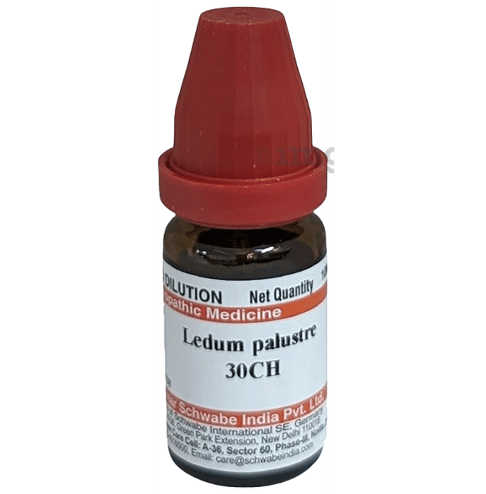Dr Willmar Schwabe India Ledum Palustre Dilution 30 CH: Buy bottle of ...